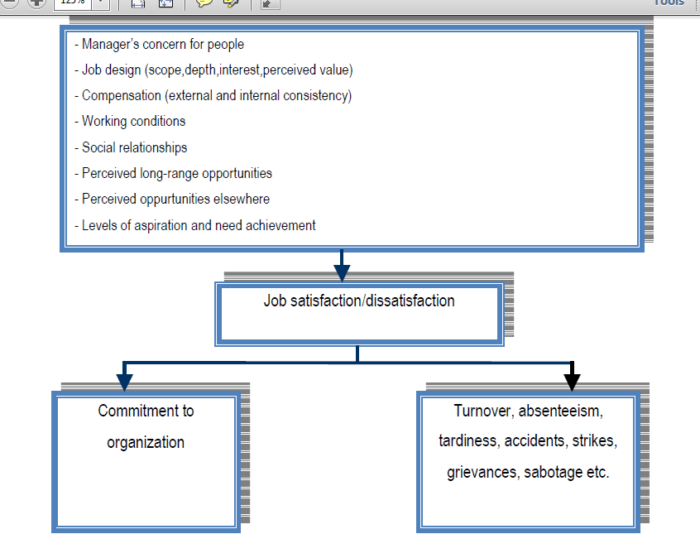Determinants of Employees’ Job Satisfaction; the case of Ambo ...